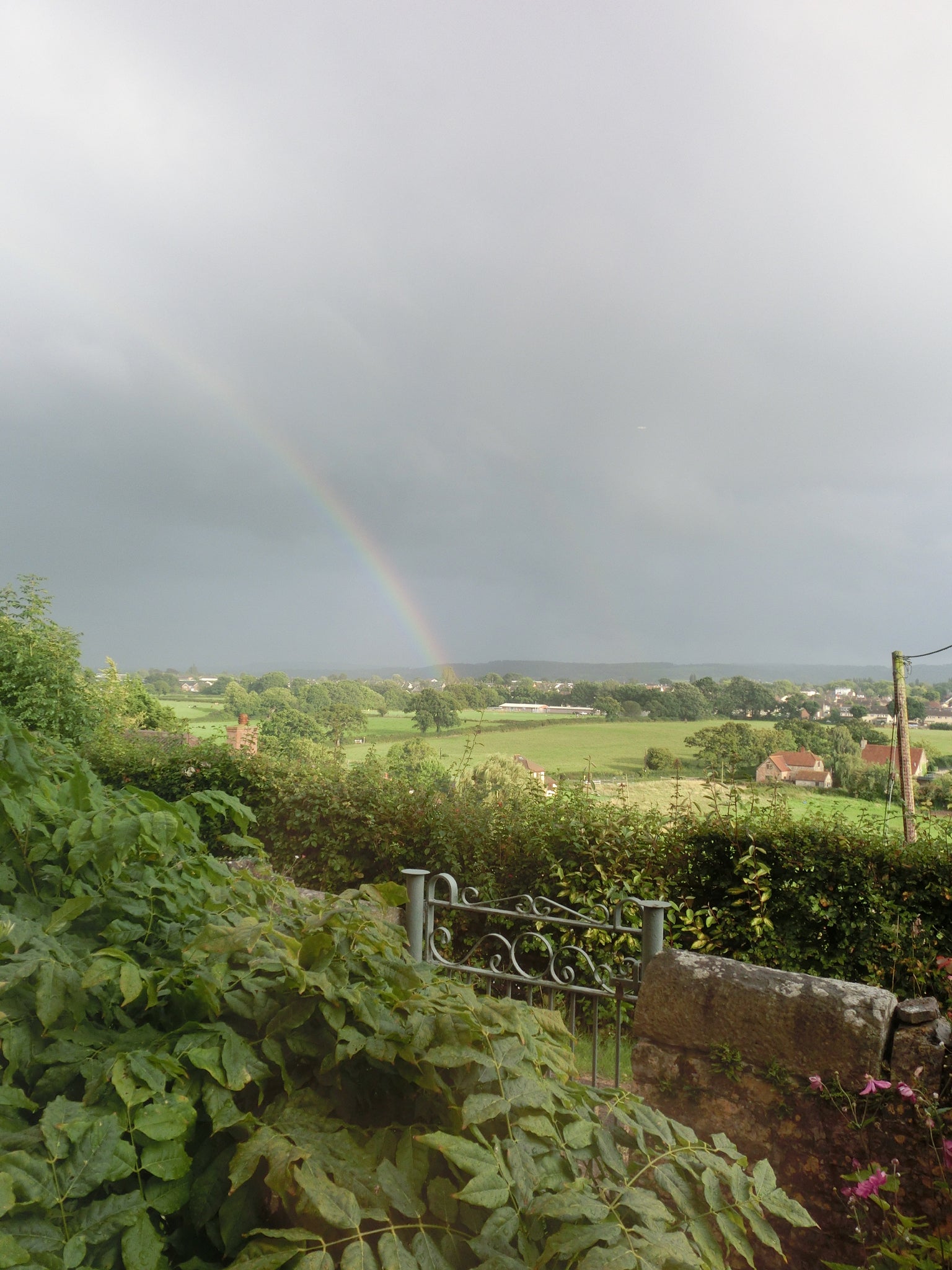 Test3 – Tengu Natural Foods