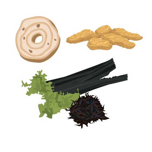 乾物類 – Tengu Natural Foods